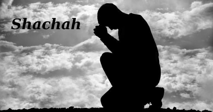 What is Worship? Shachah • Worship Arts Conservatory